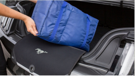 Ford Mustang FM Boot Scuff Guard - Pony Logo – Jarvis Parts