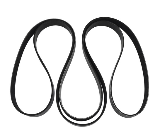 Ford Ranger PX Drive Belt – Jarvis Parts